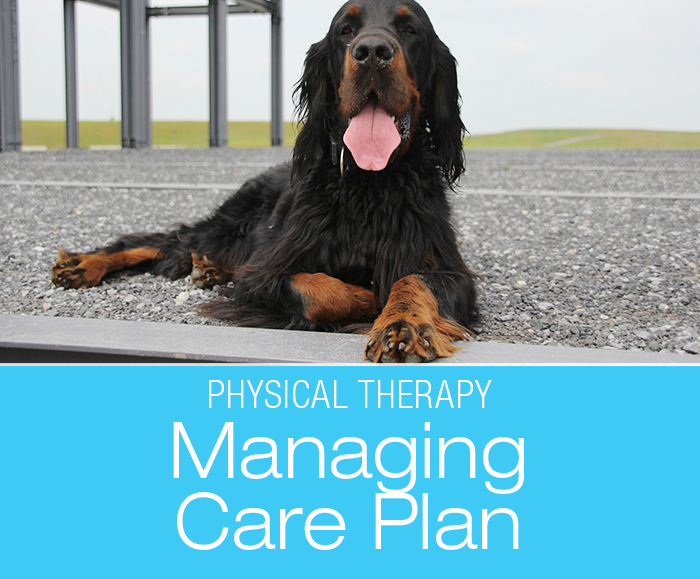 Managing Your Dog's Care Plan. Taking an Active Role